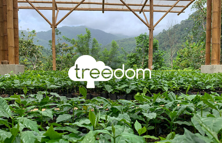 Sustainability - Ferrari Group